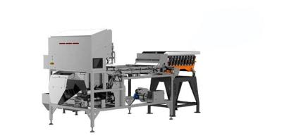 China Multispectral Infrared Crawler Sorter Machine For Nut for sale