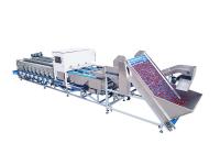 China 8KW Intelligent Double Selection Color Sorter Machine For Jun Jujube for sale