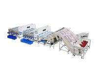 China Intelligent Double Selection Color Sorter Machine 9.5KW For Grey Jujube for sale