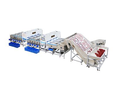 China Intelligent Double Selection Color Sorter Machine 9.5KW For Grey Jujube for sale