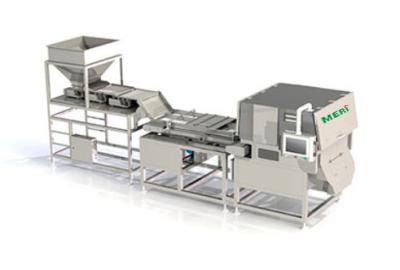 China 4KW 504 Channel Color Sorter Machine For Dehydrated Vegetables for sale