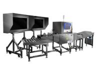 China IP66 TDI Camera X Ray Inspection System For Fish Bones for sale