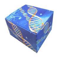 China Custom Printed 32 ECT B Flute Corrugated Paper Packaging Boxes With Artwork for sale