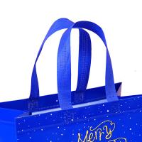 China Printed Laminated Non Woven Christmas Bags Non Woven Shopping Bags Wholesale Factory for sale