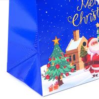 China Printed Laminated Non Woven Christmas Bags Non Woven Shopping Bags Wholesale Factory for sale
