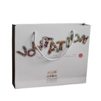 China Custom Branded Paper Advertising Bags Packaging With Design Printing Supplier for sale