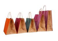 China Custom Eco-Friendly Brown Kraft Paper Shopping Bags With Logo Printing Supplier for sale