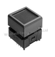 China IS15ESBFP4RGB  Display Switches IS LCD 64x32 RGB COMPACT WIDE SCREEN for sale