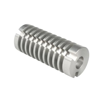 China Precision CNC Machined Worm Gear in SUS316 Stainless Steel with Passivation Finish for Medical Equipment for sale