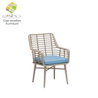 China Powder Coated Frame Garden Rattan Chair for Water-proof and Sun-proof Outdoor Furniture for sale