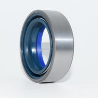China 30*44*14 mm Combi Sf 13 Type Oil Seal with NBR Material From Dmhui Factory for sale