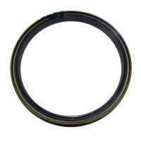 China 12015133B Shaft Alex Seal 165*190*15.5/17 for wheel hub 5184116 for sale