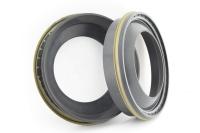 China Concrete mixer spare part oil seal high pressure NBR Oil Seal 113X160X13.5/15 mm BDOFSLFSFX7 for ZF Reducer ZF3301 ZF 0501322161 for sale