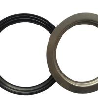 China STA VV900D oil seal 116*170*14.9  BAOFSFX7 type  for SAKAI ROLLER machine for sale