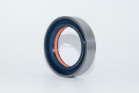 China 45X65X12 mm Oil Seals with NBR Material 1603006 for sale