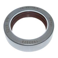 China COMBI SF6 type FKM FPM seal 48*65*16.5 for tractors 6193448M1 for sale