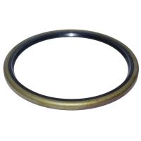 China VB Type 1136009 NBR Oil Seal for sale