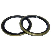 China dust lip 100*110*7/10 mm oil seals with GA type NBR material for hydraulic parts for sale