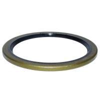 China dust lip 100*110*7/10 mm oil seals with GA type NBR material for hydraulic parts for sale