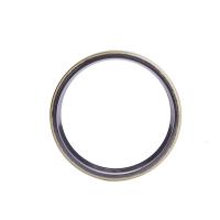 China VB Type  NBR 1135010 OEM DMHUI Oil Seal for sale