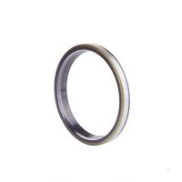 China VB Type  NBR 1135010 OEM DMHUI Oil Seal for sale