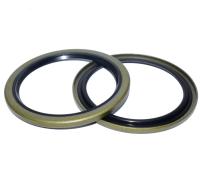 China dust lip seals with 75*85*7/10 mm size from DMHUI factory in China for sale