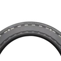 China hydraulic motor PPS seal 185*205*10 for Hagglunds motor for sale