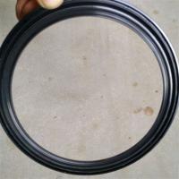 China Factory Low Price 1608002 replacement oil seal for Excavator with ISO9001 Certificate for sale