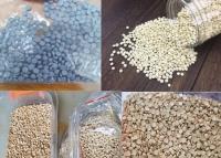 China Plastic Rigid CPVC Compound Granules For Injection Extrusion And Blowing Moulding for sale