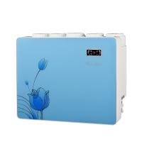 China 6 Stage Drinking Reverse Osmosis Water Purifier with 75GPD Capacity and RO Membrane for sale