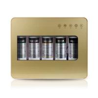 China Wall Mounted Household 5 Stage Reverse Osmosis Water Purifier with Hot Water Function for sale