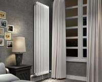 China Antique and Luxuriant Decorative Cast Iron Radiator for Domestic Water Central Heating for sale