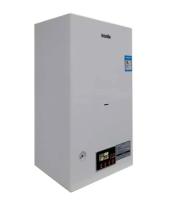 China 330*400*740 size gas heating wall mounted instant tankless gas boiler by professional for sale