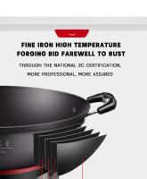 China Non-stick Coating Electric Wok for Household 220V Frying and Stir-frying Private Mold for sale
