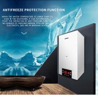 China Powerful Gas Water Heater Tankless Hot Water Boiler for Ce Wall Hung Gas Boiler Household for sale