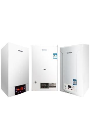 China 18KW Natural Gas Wall Mounted City Hot Water Boiler with Flame Failure Protection for sale