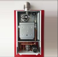 China NO Private Mold Natual Gas Wall Hung Combination Boiler for Heating and Hot Water for sale