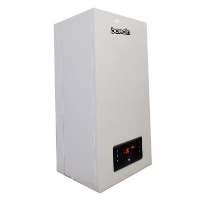 China Overheat Protection Function Private Mold Wall Mounted Gas Combi Boiler for Home Heating for sale