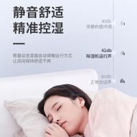China Home Remote Control Desiccant Dehumidifier with Air Purifier Small and Moisture Control for sale