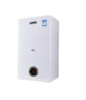 China 18KW Forced Exhaust Type Natural Gas Water Heater Combi Gas Boiler with Safety Device for sale