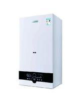 China 18KW Forced Exhaust Type Natural Gas Water Heater Combi Gas Boiler with Safety Device for sale