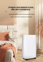 China Home Electric Dehumidifier with Air Purifier 11KG 30L Dehumidifying Capacity for sale