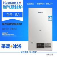 China 18KW Forced Exhaust Type Natural Gas Water Heater Combi Gas Boiler with Safety Device for sale