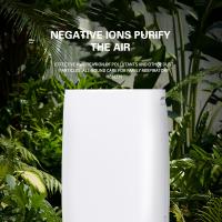 China Mini Dehumidifiers Semiconductor Refrigeration Portable Quiet Air Humidity Dryer for sale