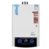 China 220V 36W Open Flue Gas Water Heater for Instant Hot Water in Home Appliance Force for sale