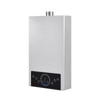 China 220V 36W Open Flue Gas Water Heater for Instant Hot Water in Home Appliance Force for sale
