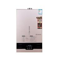 China Installation Wall Mounted Tankless Gas Water Heater For Hot Water And Energy Saving for sale