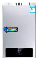 China Installation Wall Mounted Tankless Gas Water Heater For Hot Water And Energy Saving for sale