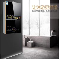 China Installation Wall Mounted Tankless Gas Water Heater For Hot Water And Energy Saving for sale