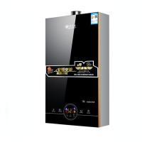 China Tankless Instant Gas Water Heater Portable LPG Delicate Appearance for House Heating for sale